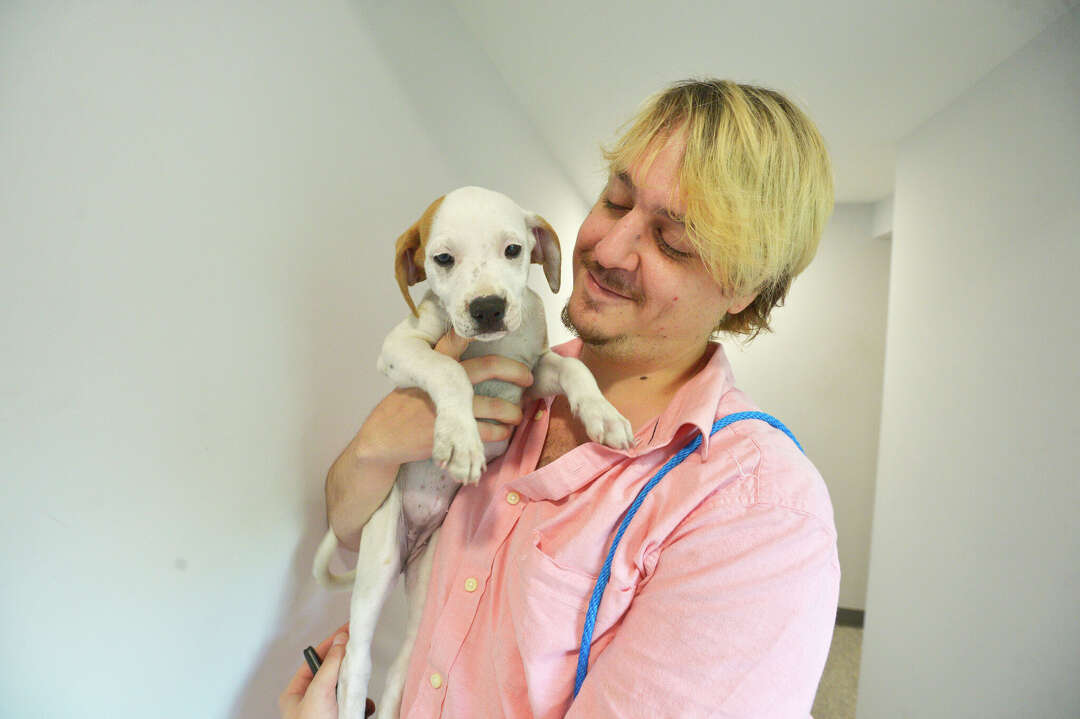 Bethel's Danbury Animal Welfare Society finishes shelter renovation