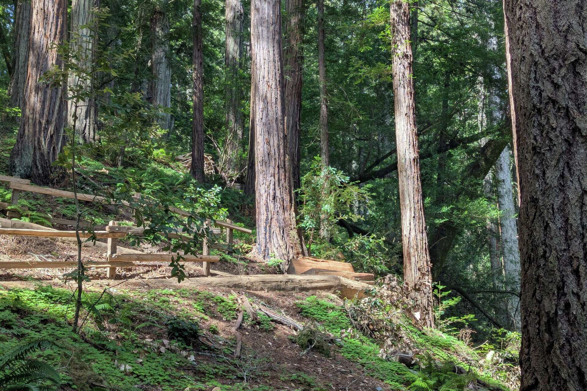 Bay Area trail reopens with stunning views and 1,000-foot drop