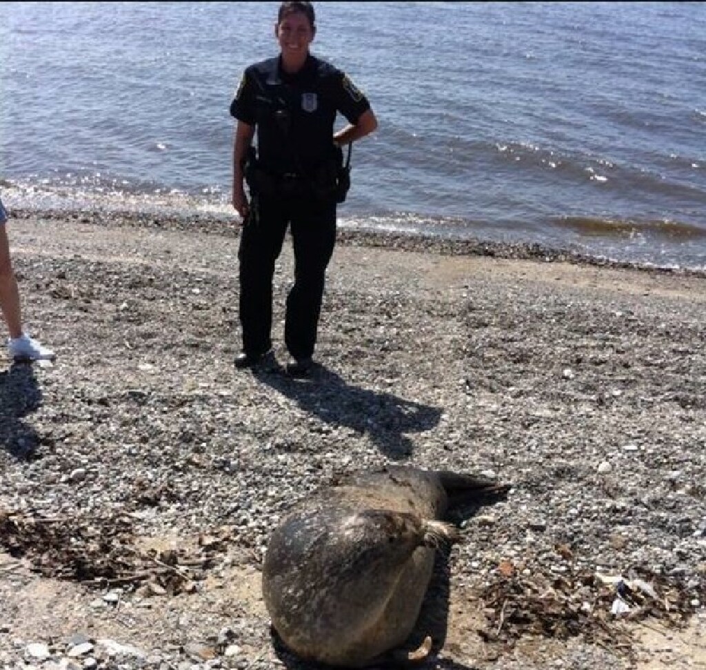 Donor found for Stratford detective suffering from kidney disease