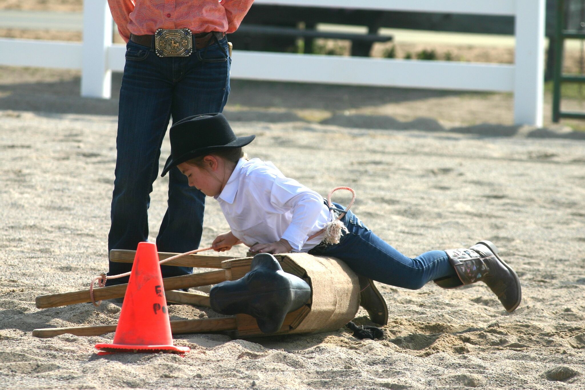 Mecosta County Free Fair features roping, riding skills