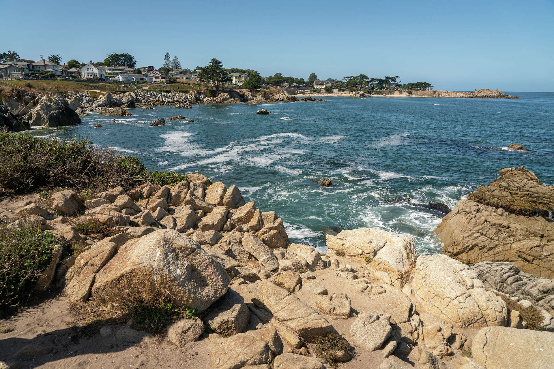 Once-in-a-lifetime sea creature encountered in Monterey Bay