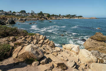 Once-in-a-lifetime sea creature encountered in Monterey Bay