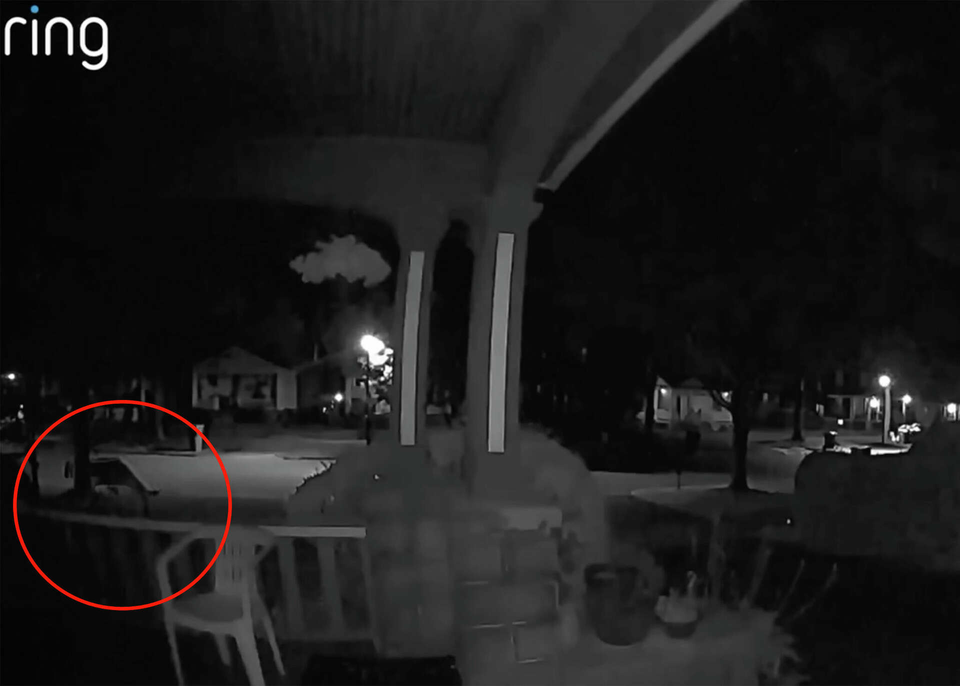 A mountain lion in upstate? Video appears to show one in Rochester