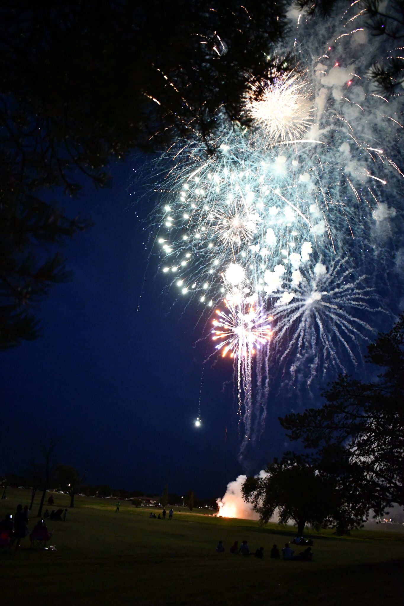 Take precautions with pets, avoid popping fireworks in city limits, ci