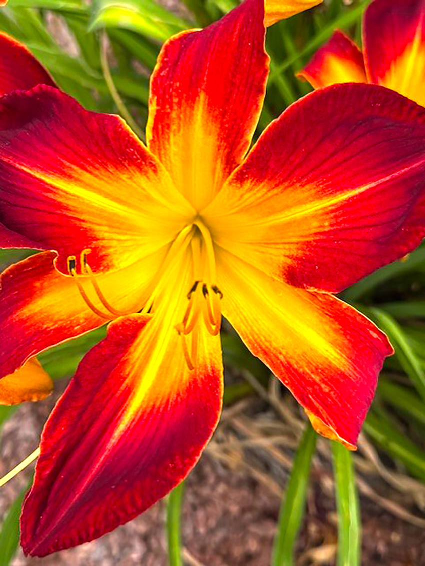 WICS NewsChannel 20 hires Mark Hespen as anchor