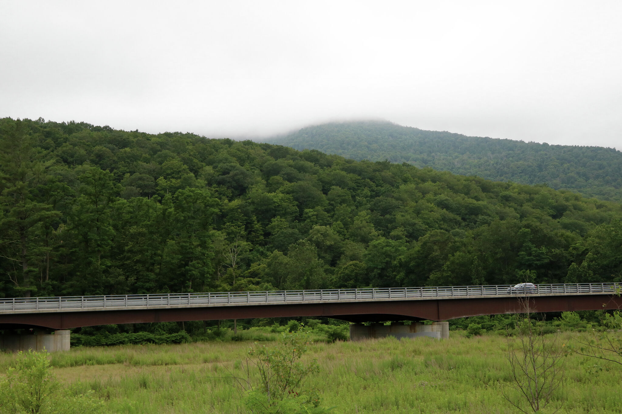 Australian track and field Olympians Michelle Jenneke and Alex Beck ...