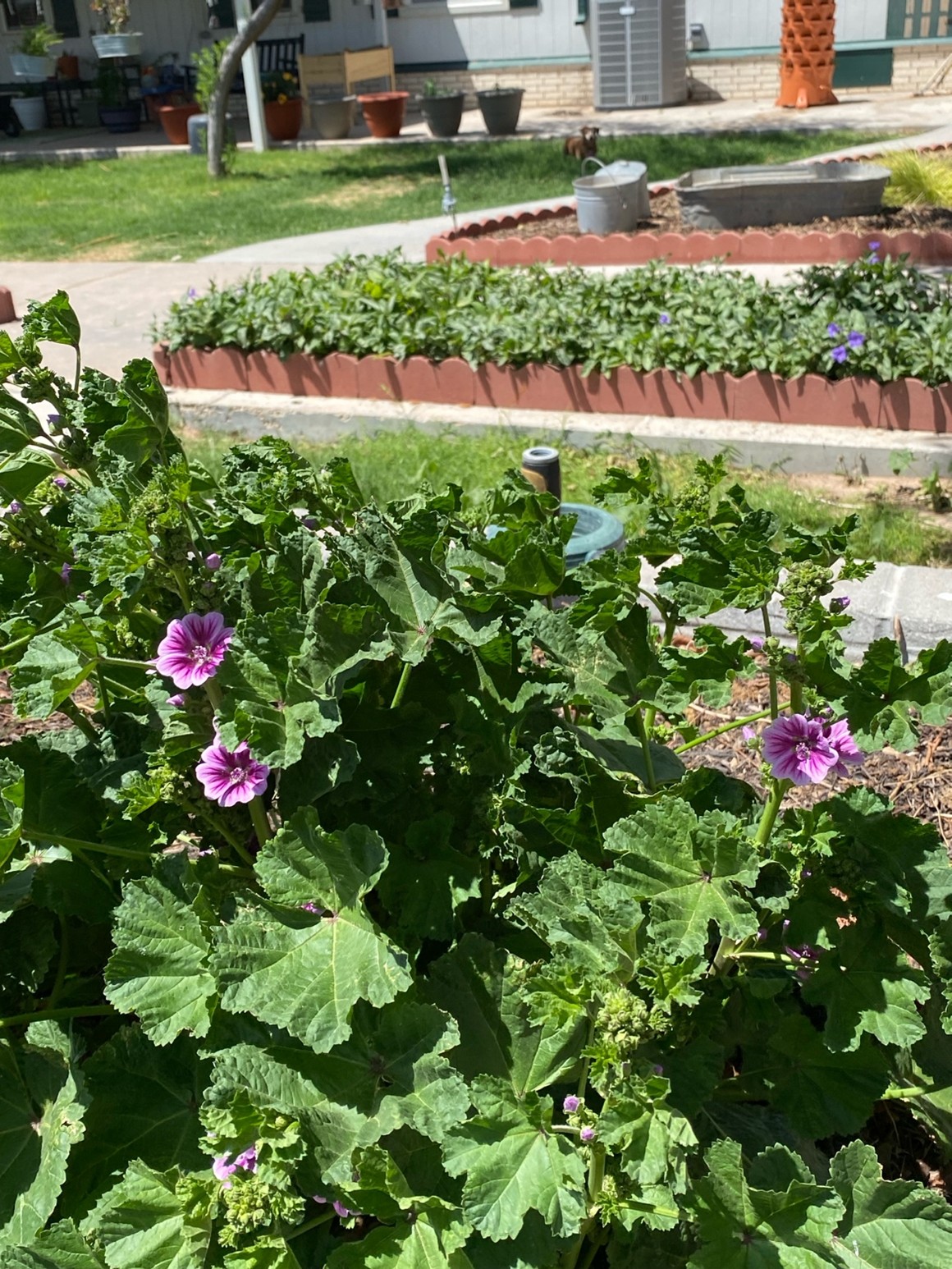 Midland's JMR Services is in expansion mode again