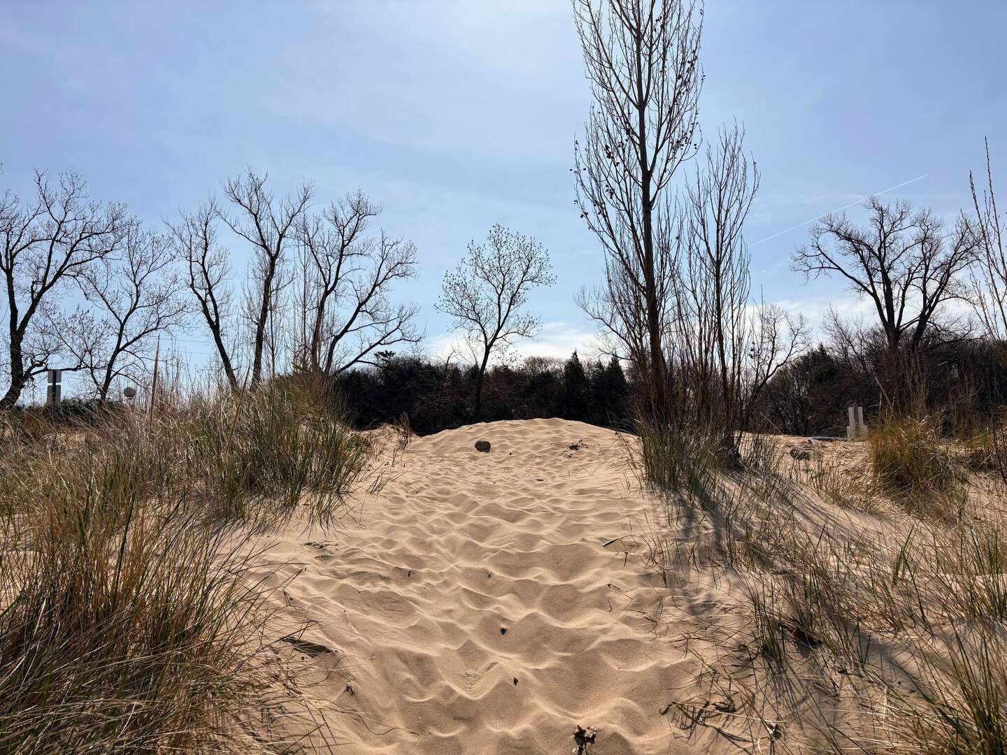 Michigan’s lost city of Singapore buried under Lake Michigan sand dune
