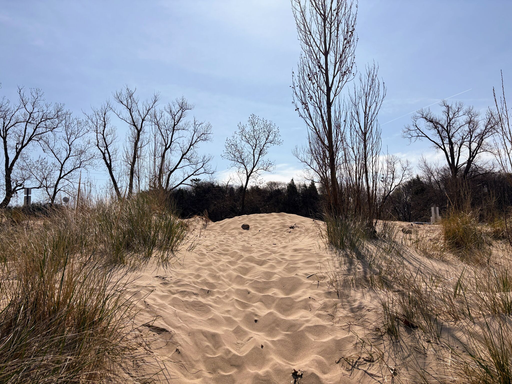 Michigan’s lost city of Singapore buried under Lake Michigan sand dune
