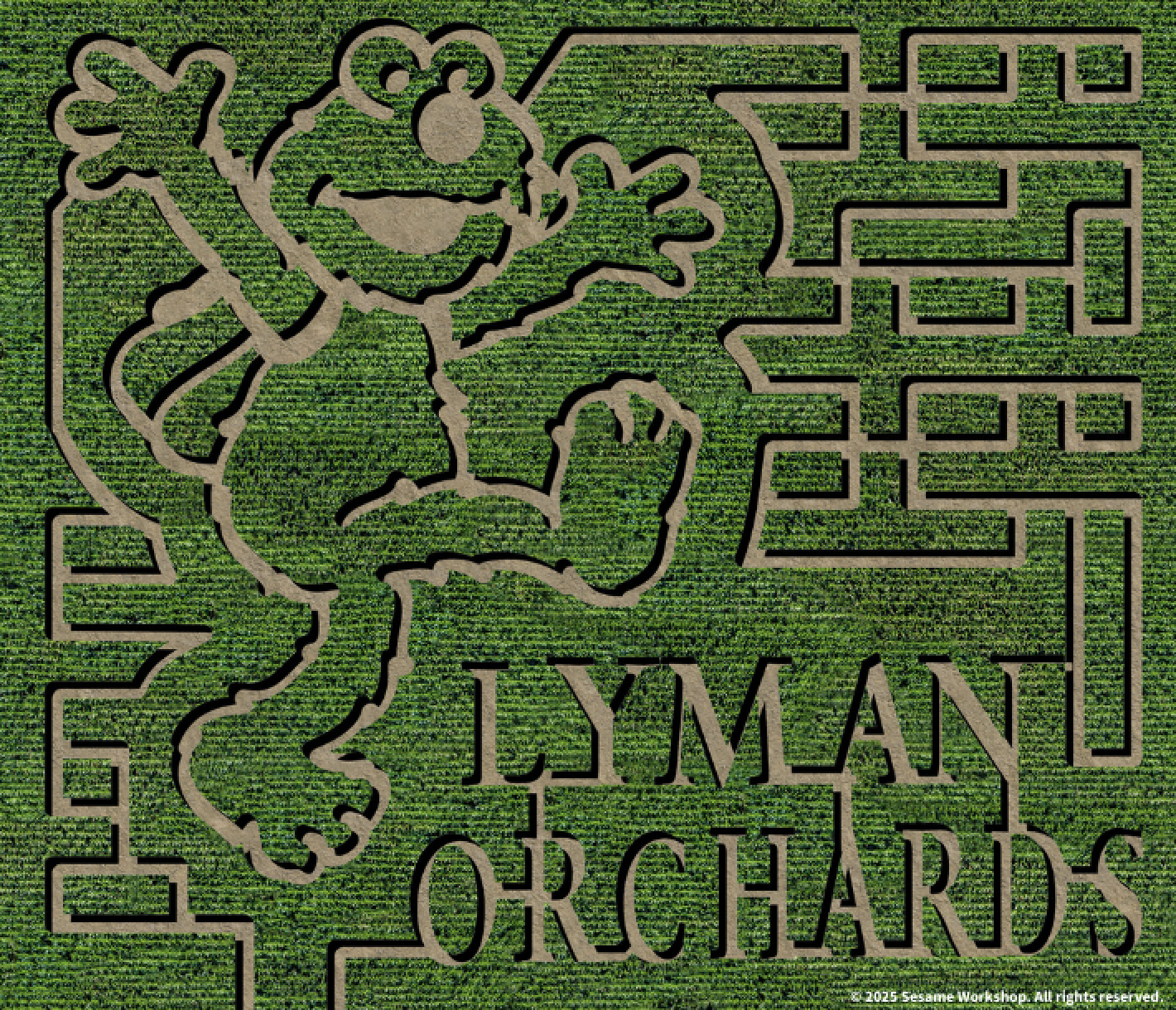 Lyman Orchards' newest maze will be Elmo, 'Sesame Street'-themed