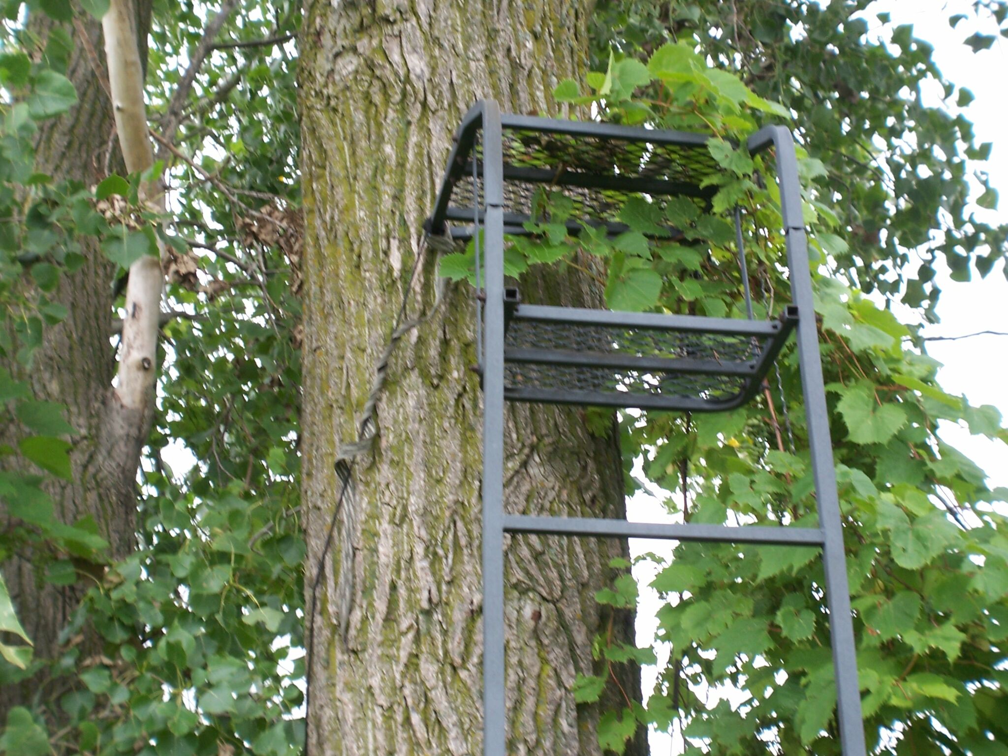 Manistee County 911 dispatcher awarded rare stork pin delivering baby