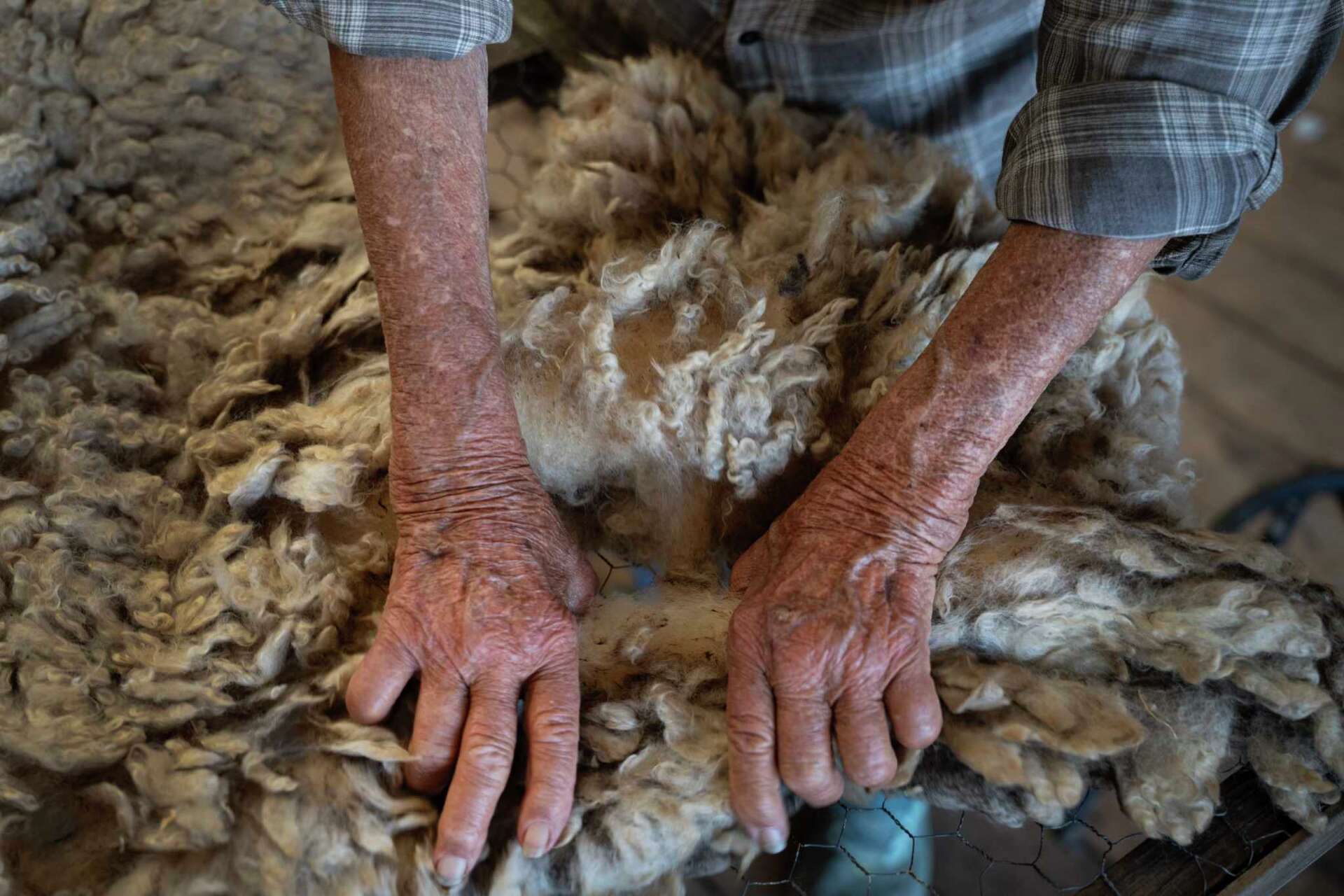 Knitting is popular in Bay Area. Why are CA wool mills disappearing?