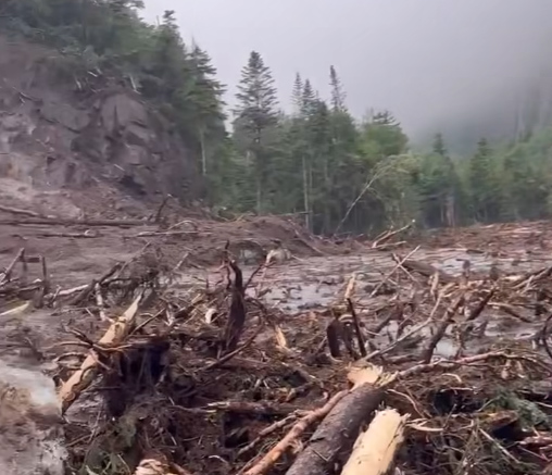 Churchill: Corey Ellis is running for Albany mayor