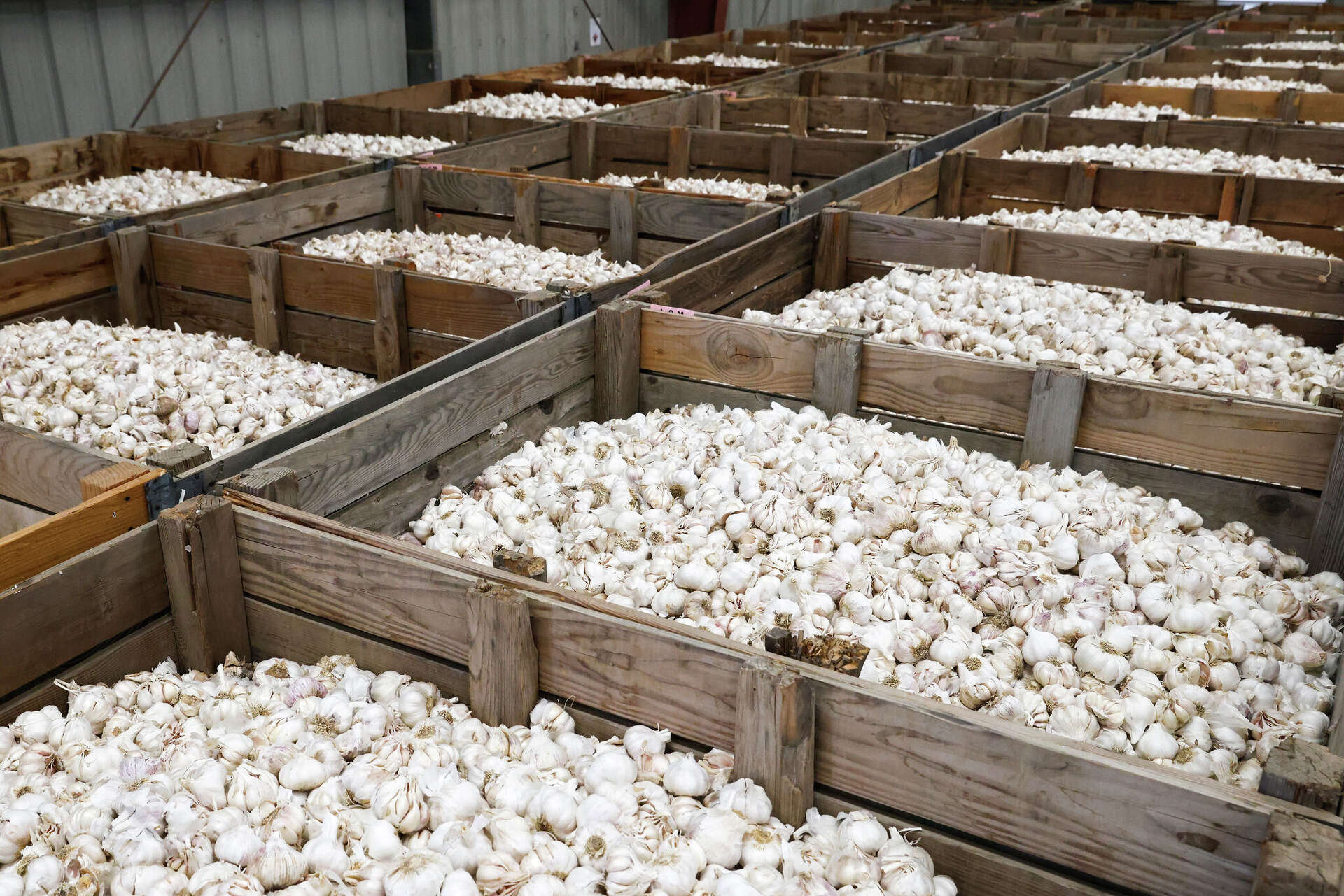 Gilroy Garlic Festival returns after being shut down from tragedy