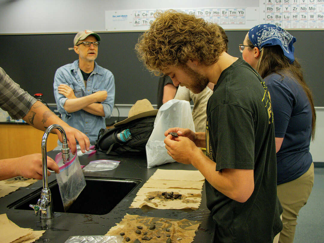 New mastodon fossils unearthed in Orange County after fall discovery