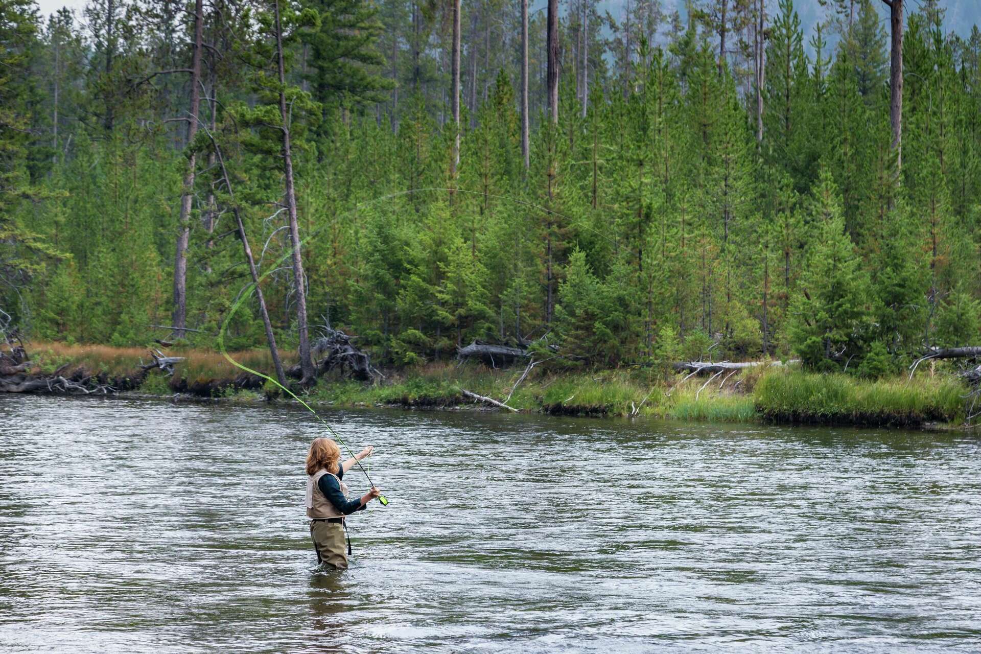 Rivers are closing to protect fish in Yellowstone National Park