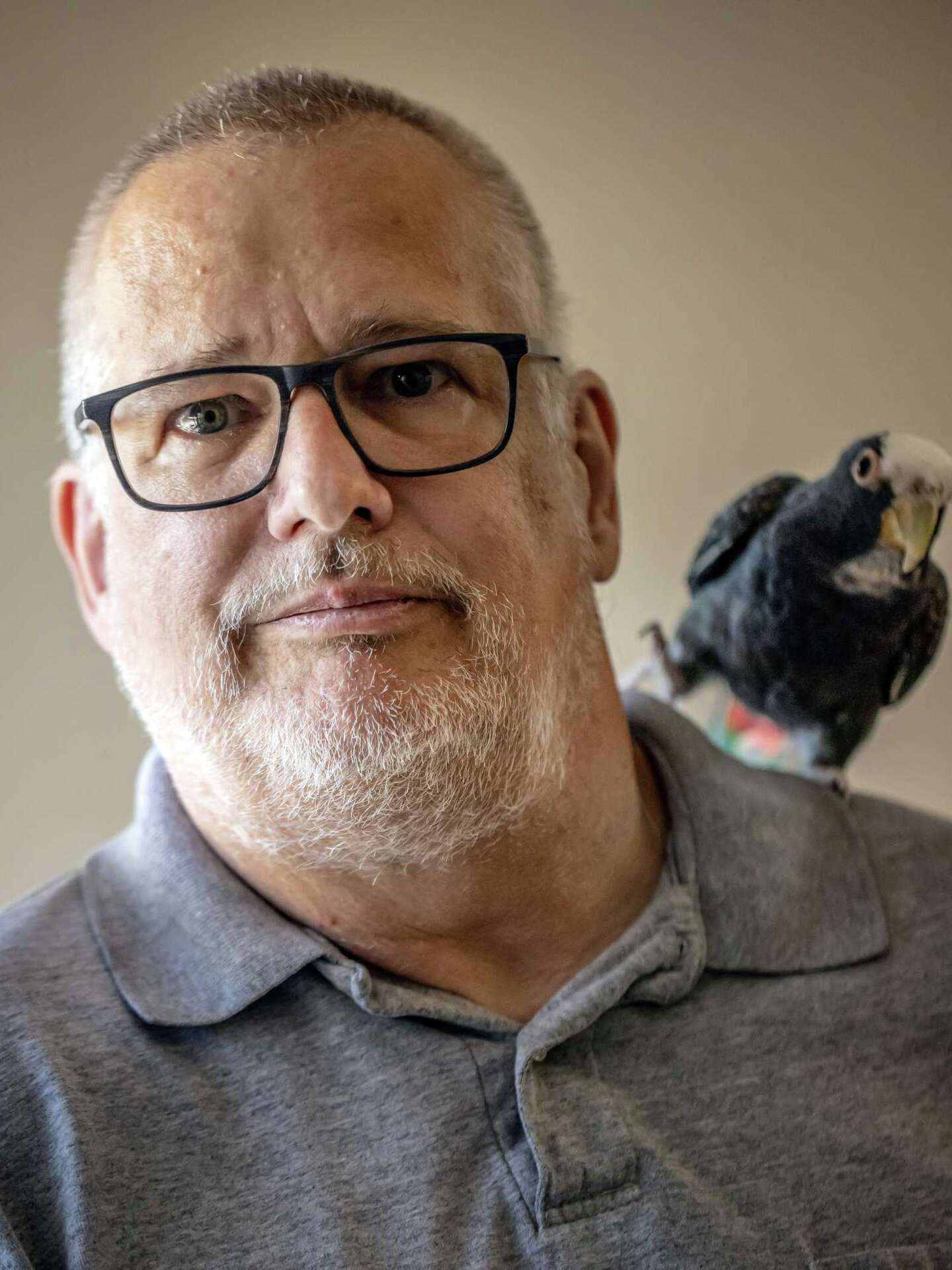 Bird rescue group Mickaboo saves SF wild parrots. Is it going too far?