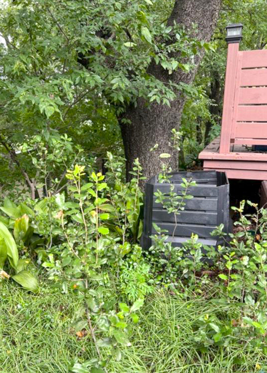 Protect fruit trees, treat chinch bugs, manage oak sprouts in Texas