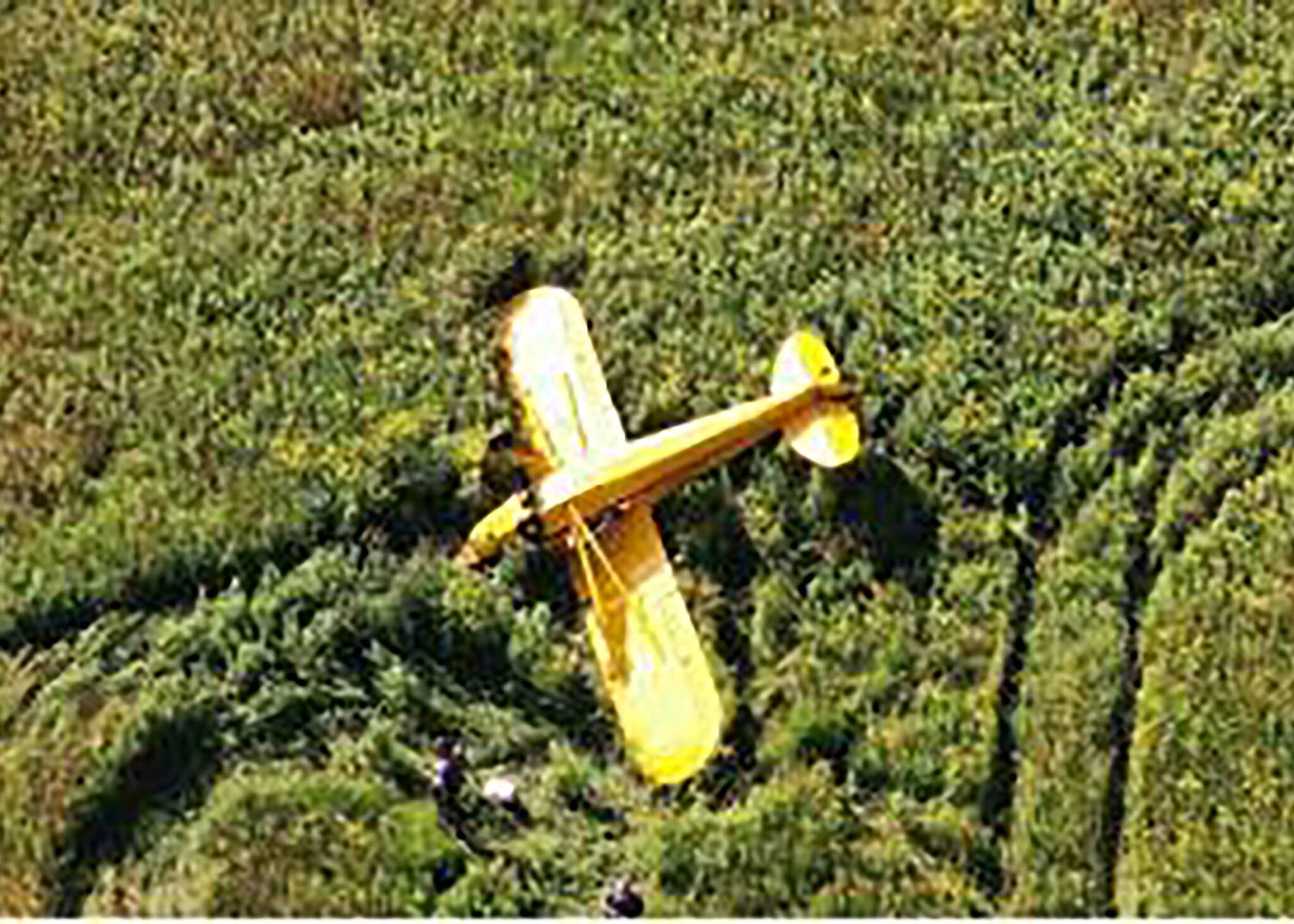 Albany police release statement on man found hanging