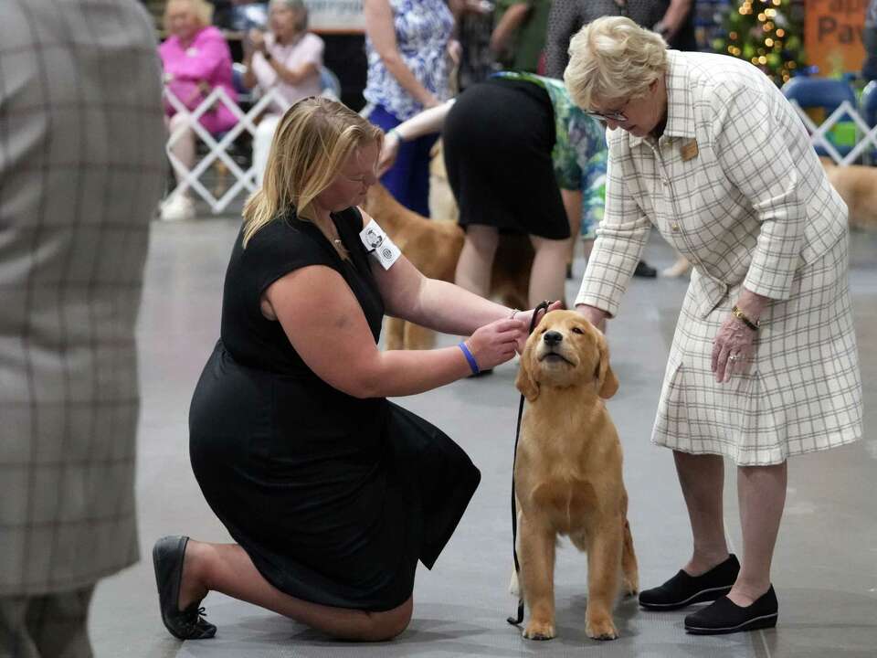 Houston World Series of Dog Shows brings dogs, competitions to NRG