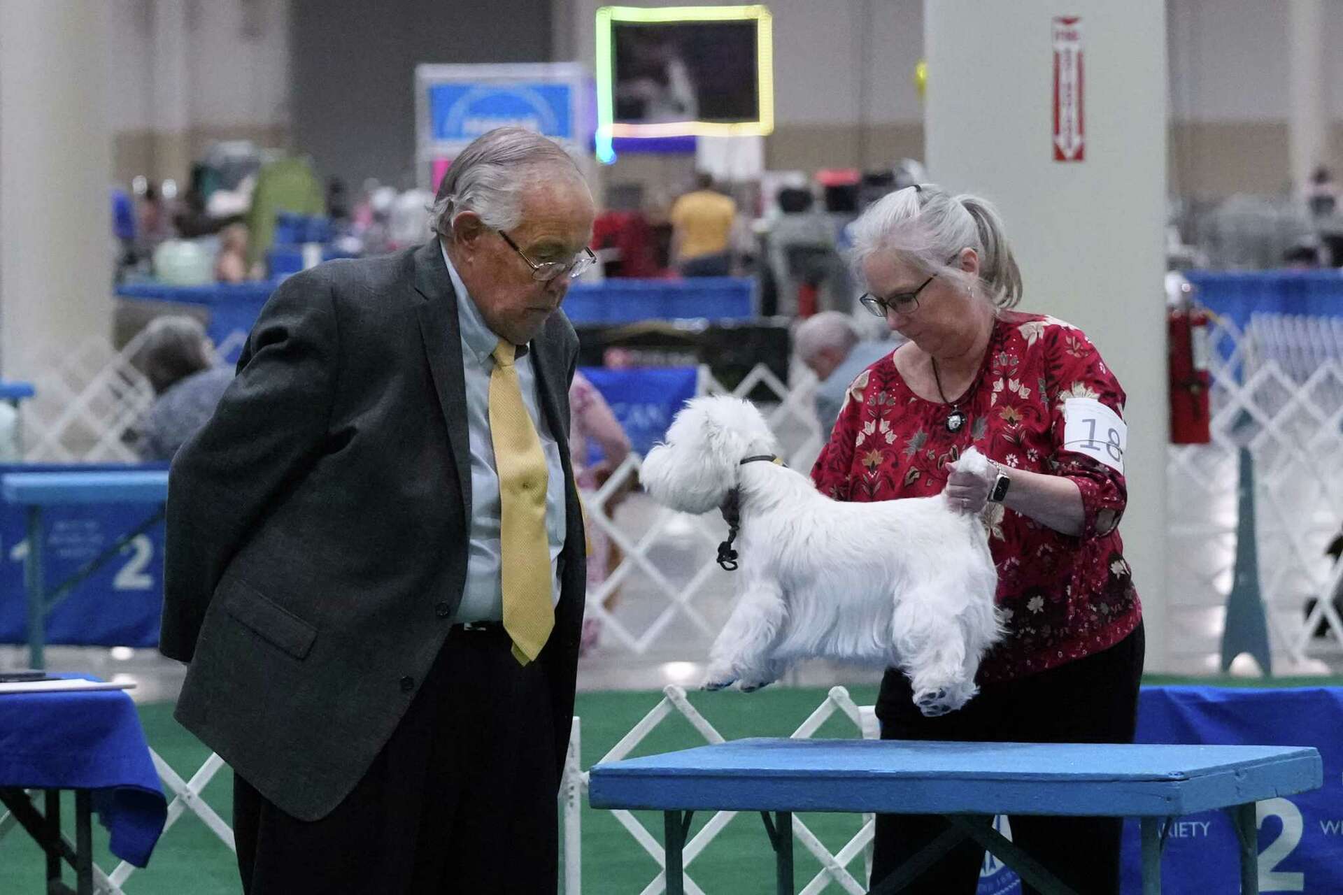Houston World Series of Dog Shows brings dogs, competitions to NRG