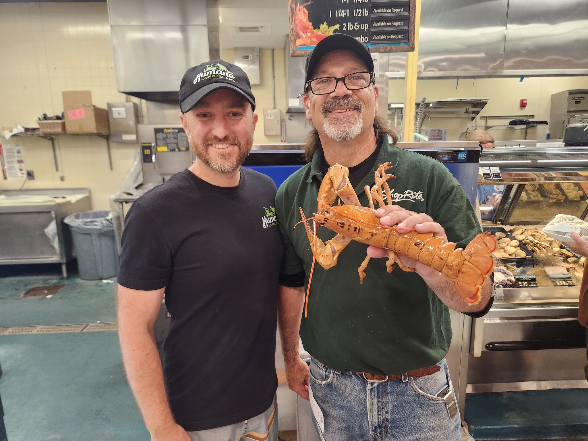 Limping bear seen in Stamford can still run, so leave it alone: Cops