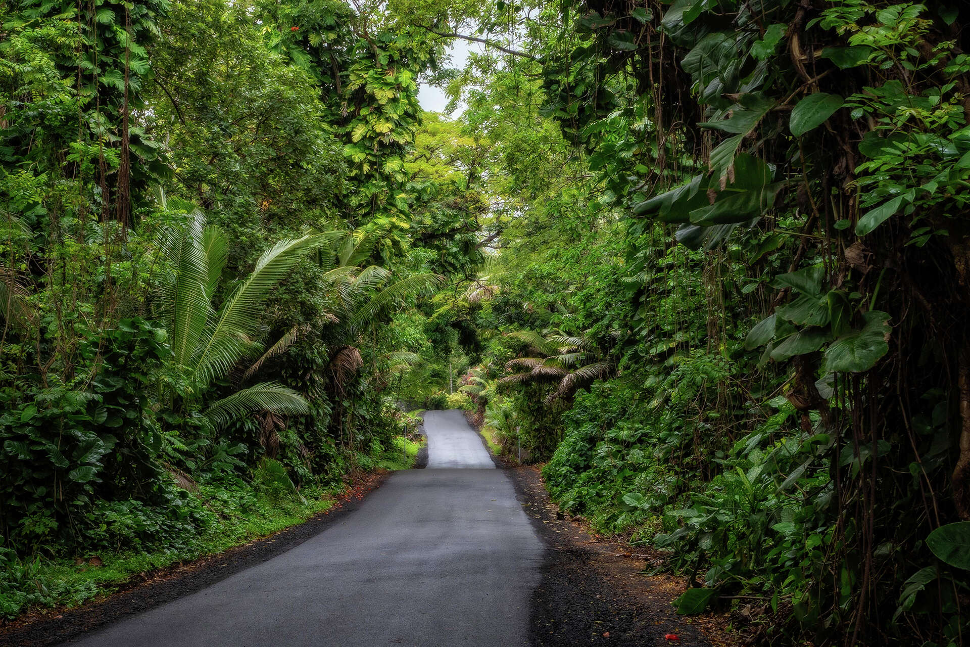 'Don't eat raw food': The terrifying threat lurking in Hawaii