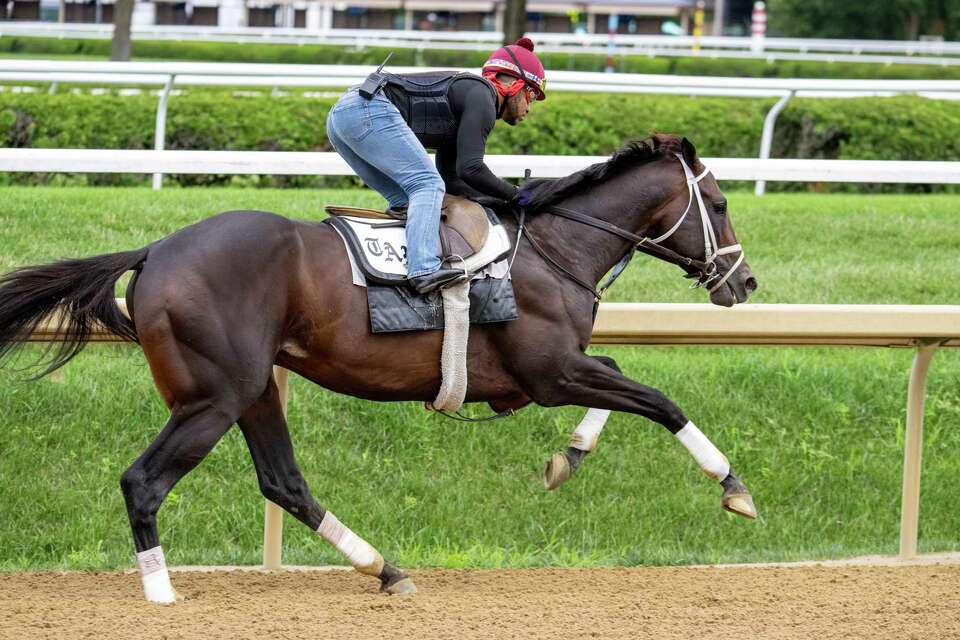 Sierra Leone beats Fierceness to win Whitney at Saratoga track