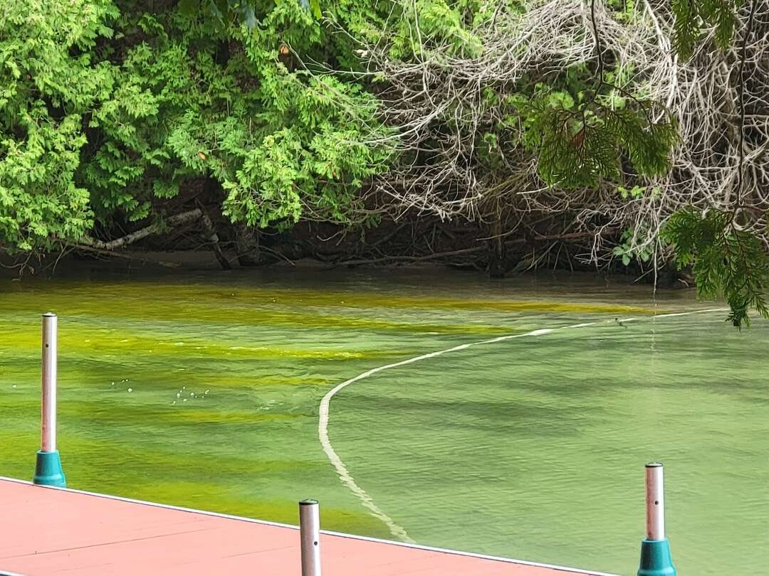 Benzie County rivers treated to kill invasive lamprey