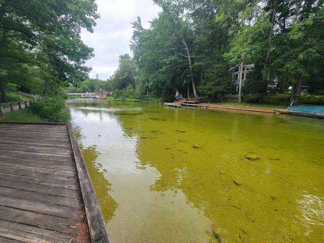 Benzie County rivers treated to kill invasive lamprey