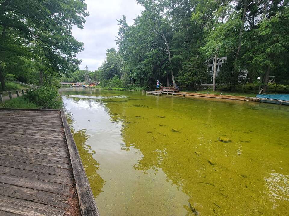 Benzie County rivers treated to kill invasive lamprey