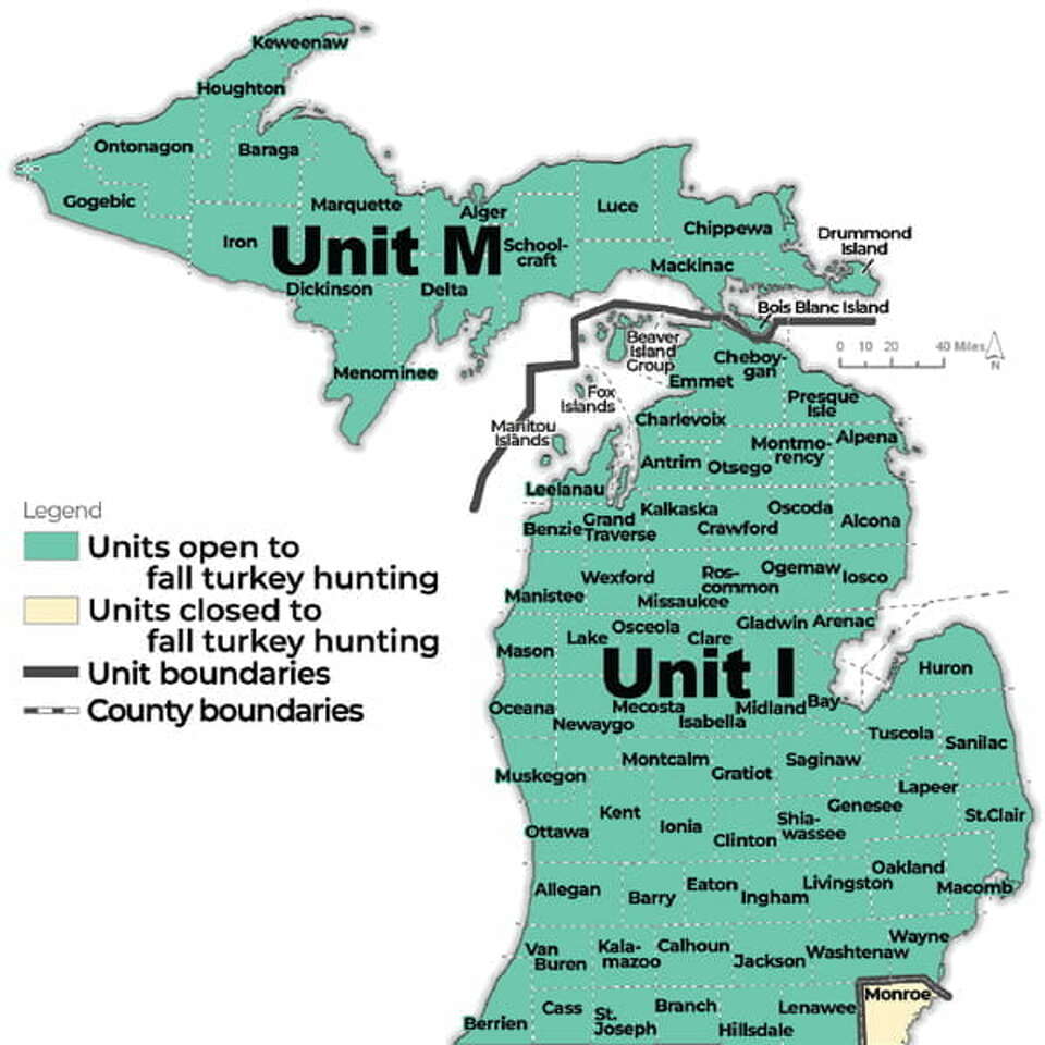 Michigan 2025 fall turkey hunting rules: No license applications