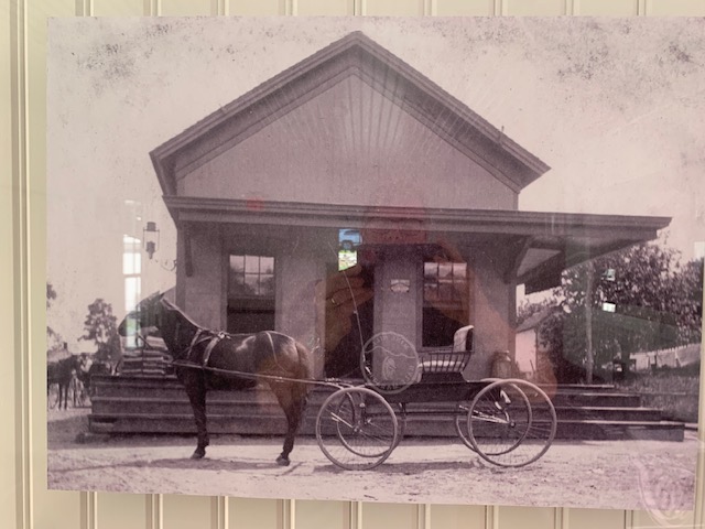 Limping bear seen in Stamford can still run, so leave it alone: Cops