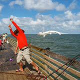 Who did the 'Be Someone,' 'Toeflop' graffiti in Houston?