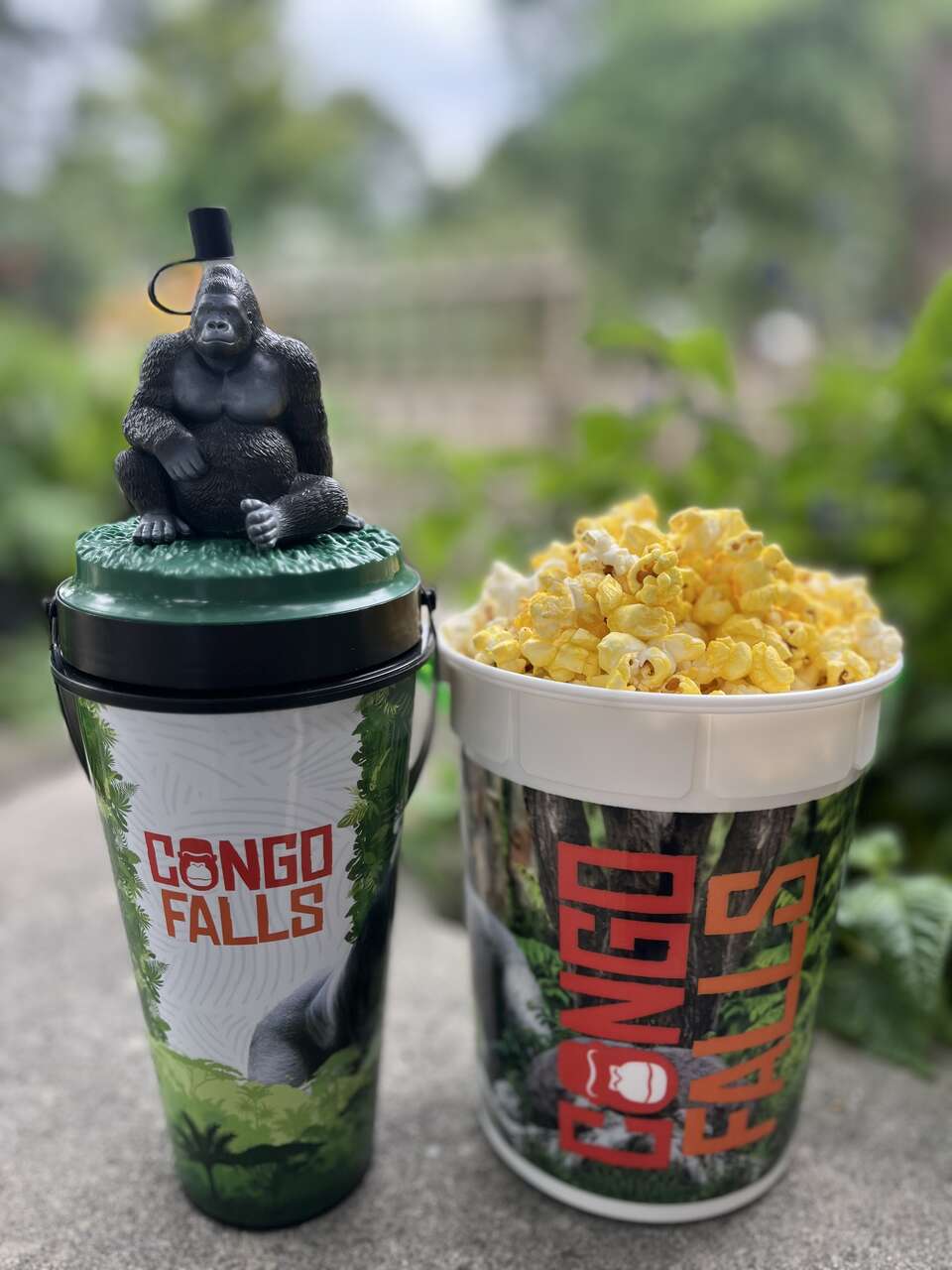 San Antonio Zoo welcomes back gorillas with Congo Falls habitat