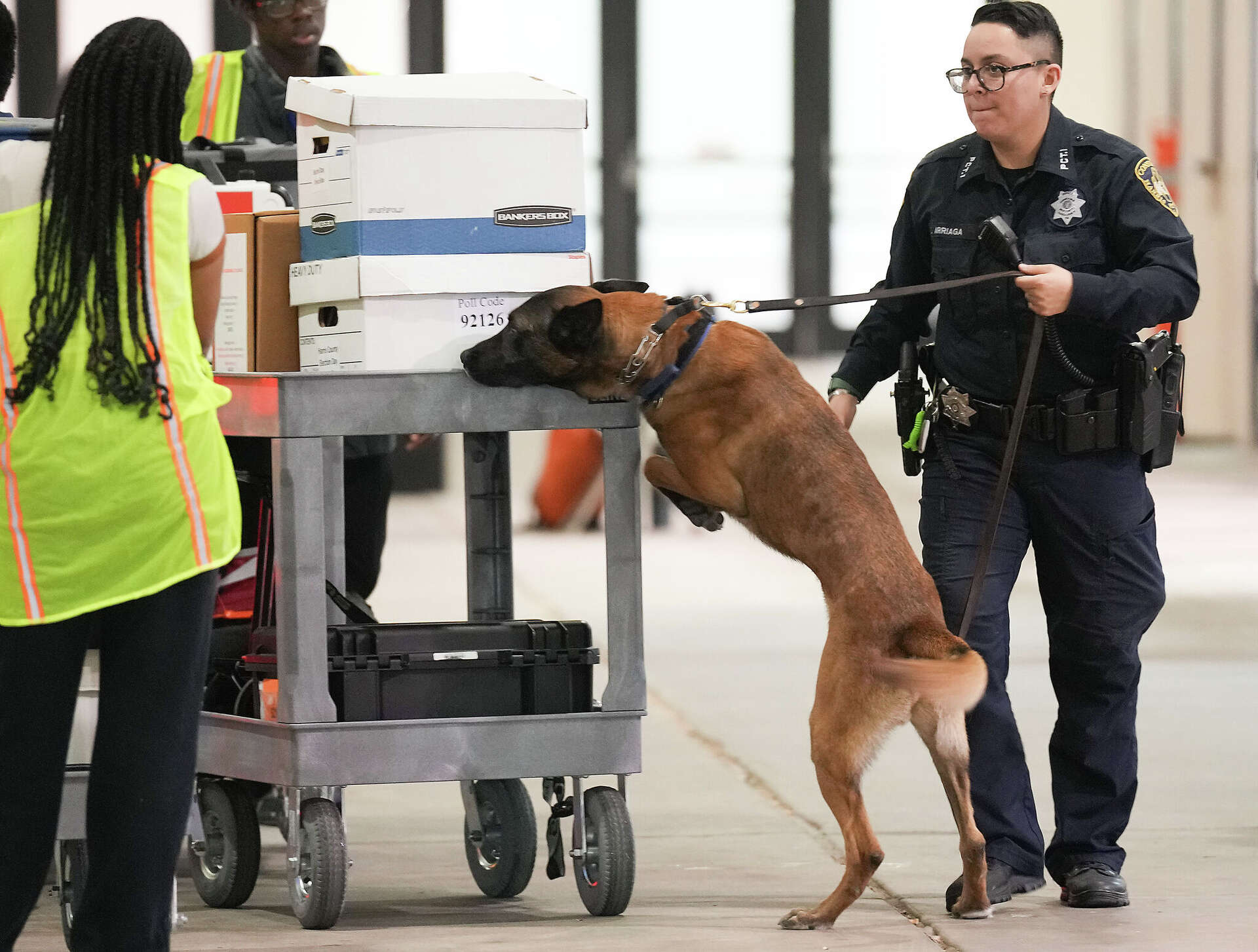 How much Houston area constables earn, ranked by county