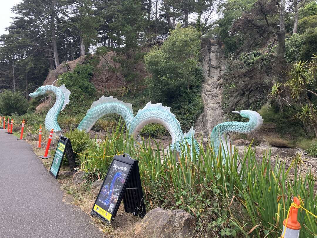 Giant sea serpent sculpture arrives in Golden Gate Park. Here’s a look