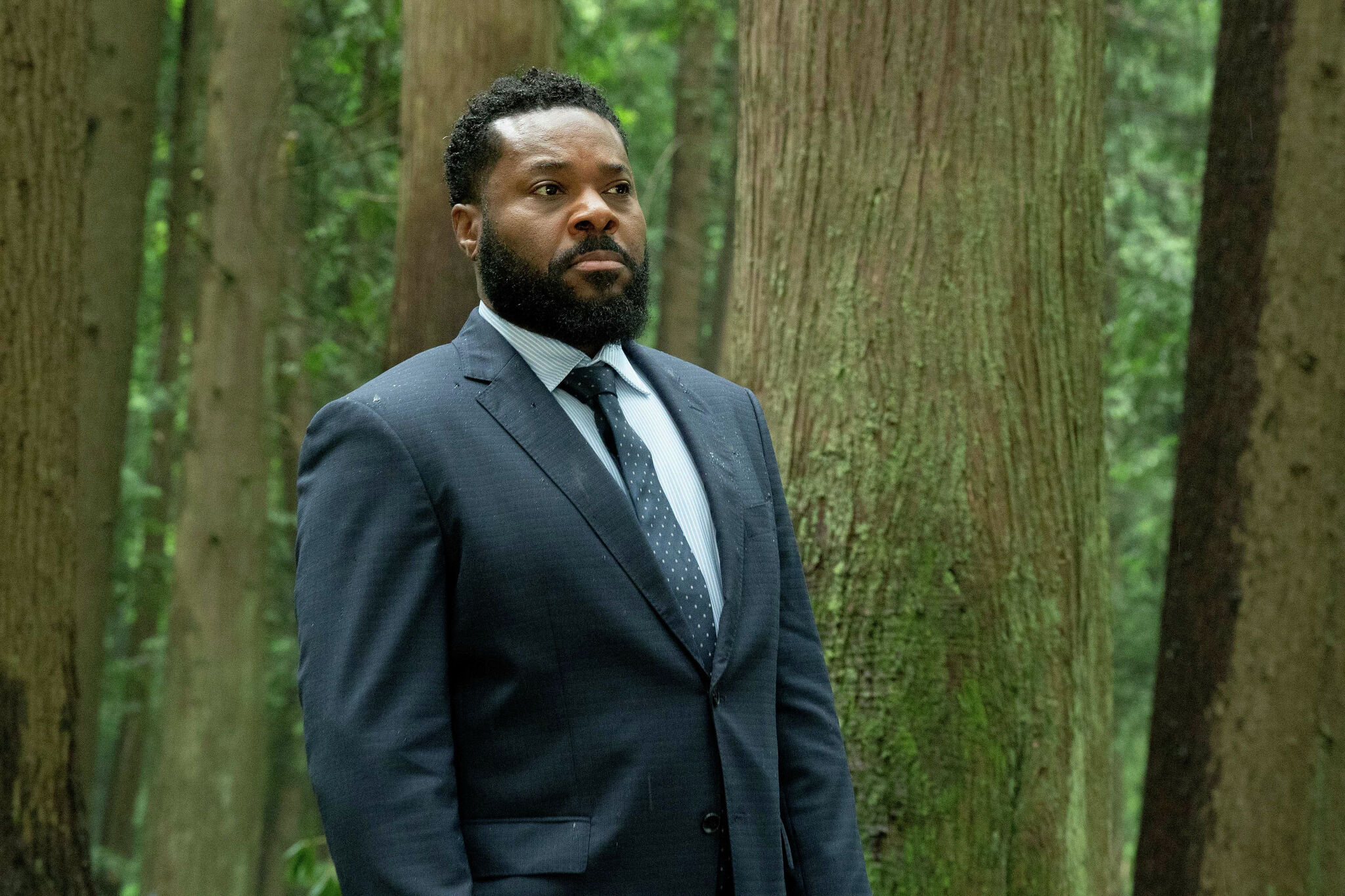 Preparations ongoing for Canyon's largest July 4th celebration