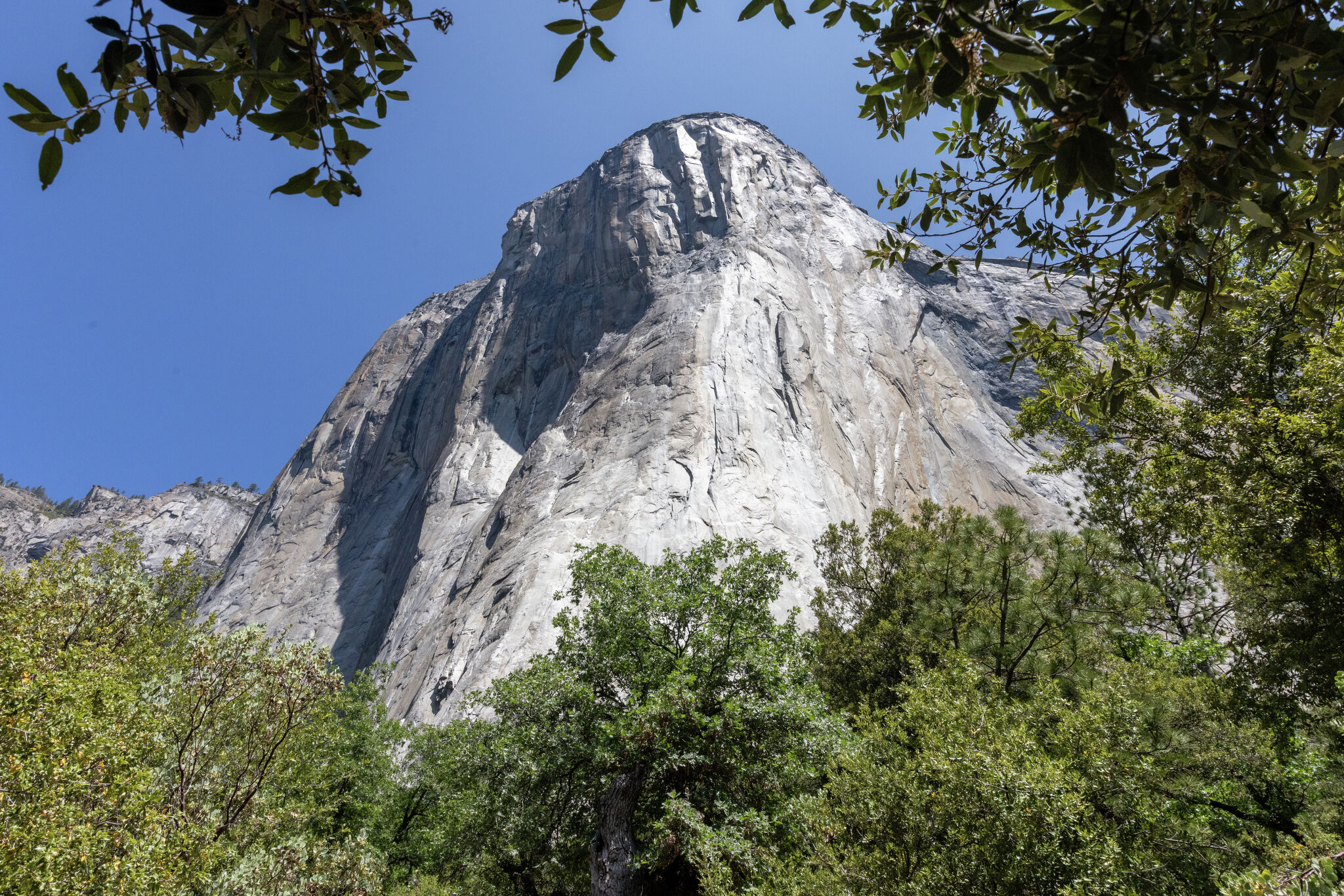 Promising young climber dies in fall from Yosemite's El Capitan