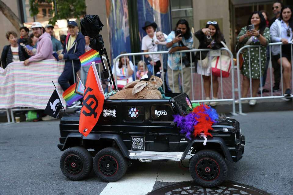 Alex the Great, S.F. Giants’ ‘rally rabbit,' dies after cancer battle
