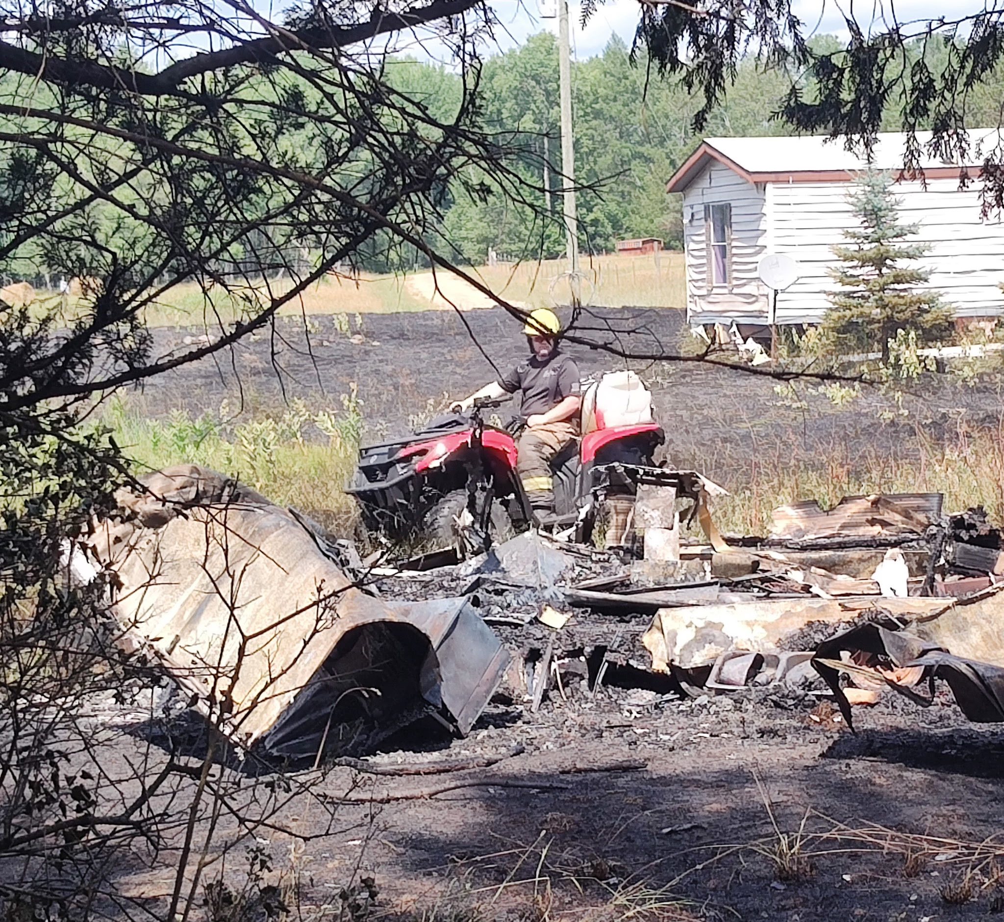 Obligados por el hambre, sudaneses comen hierbas y plantas para ...