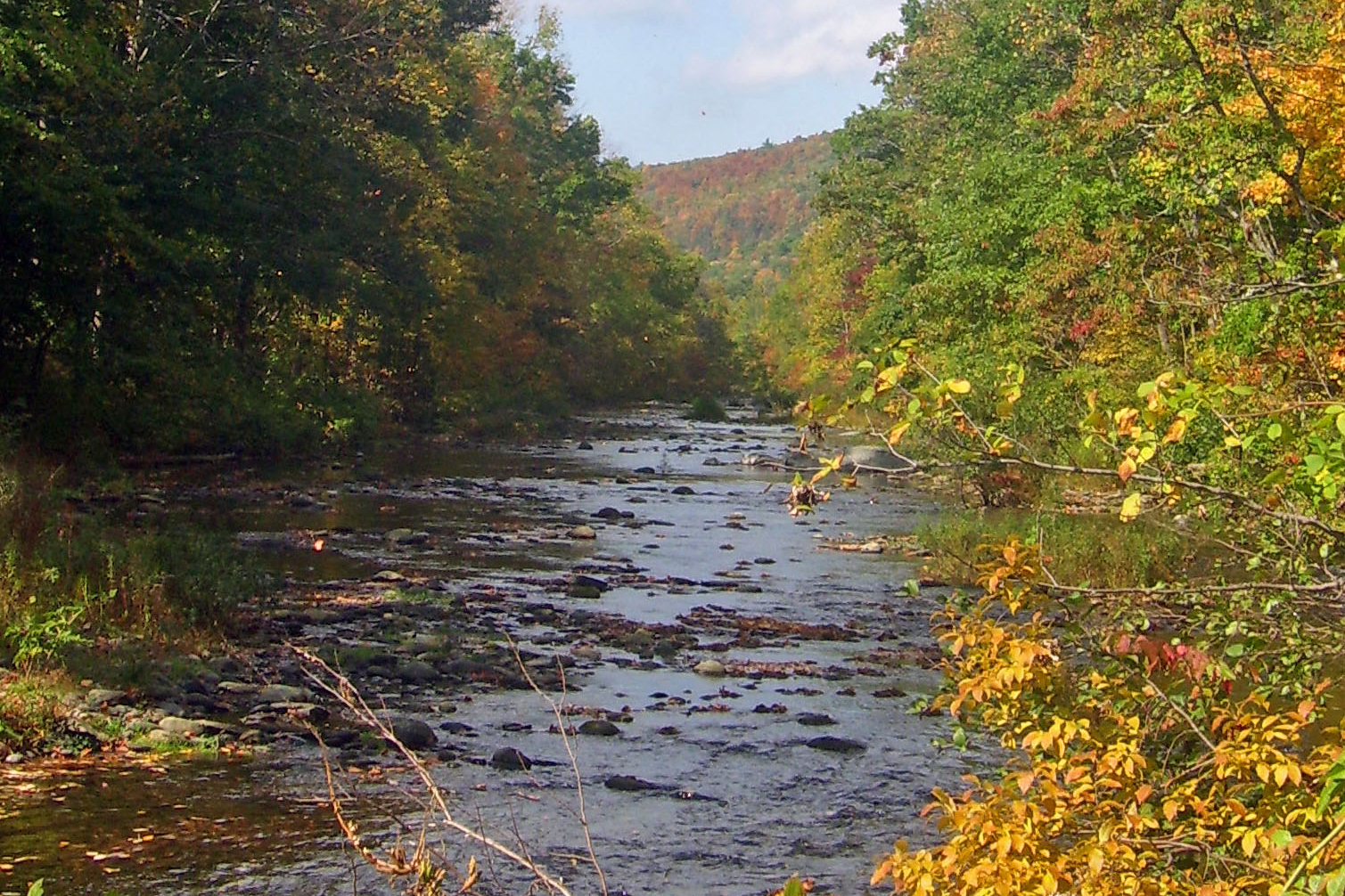 SONYMA helps first-time homebuyers realize the dream of ownership