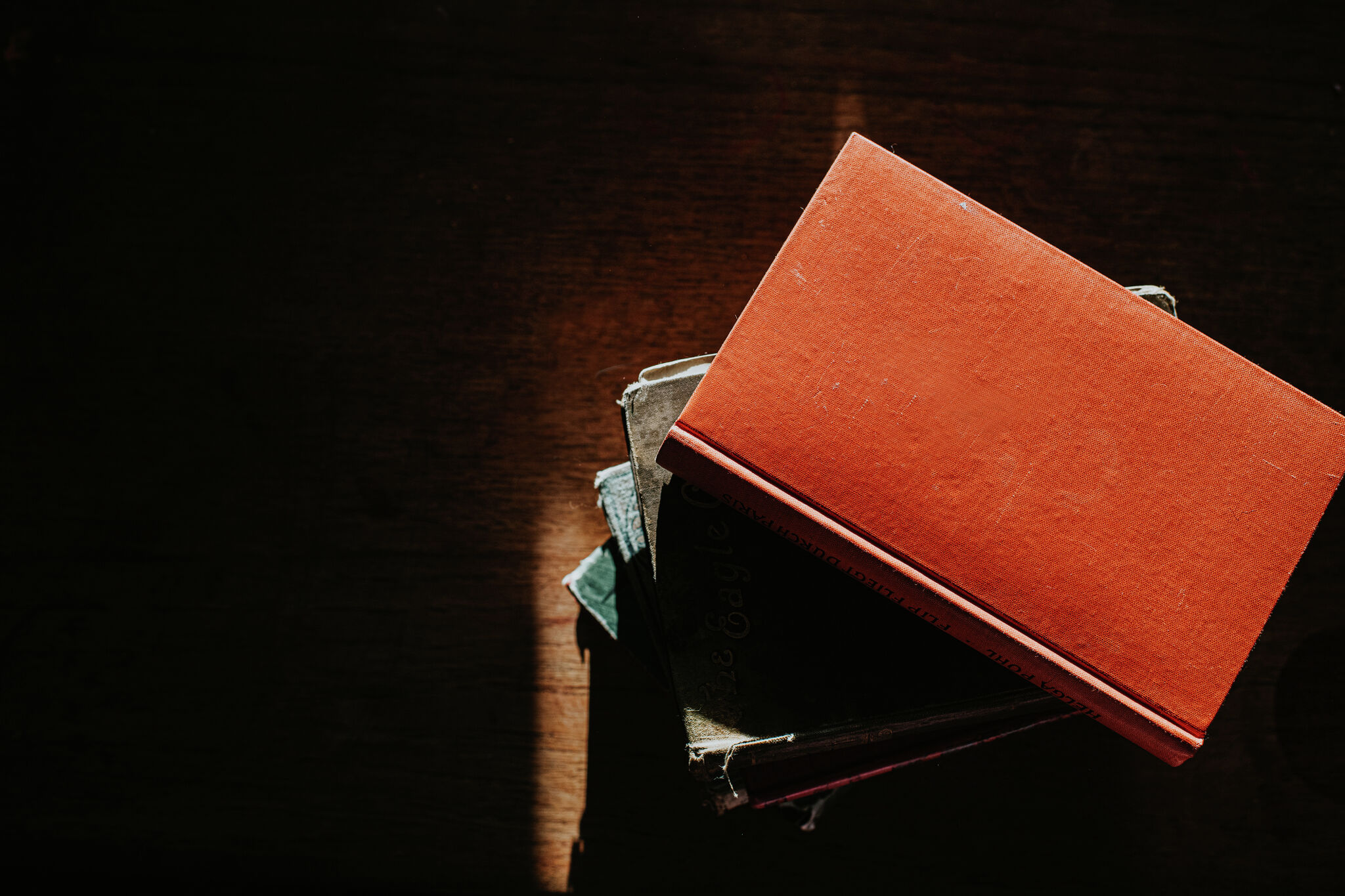 Pathfinder Community Library, Baldwin, Book Buzz for July 24, 2025