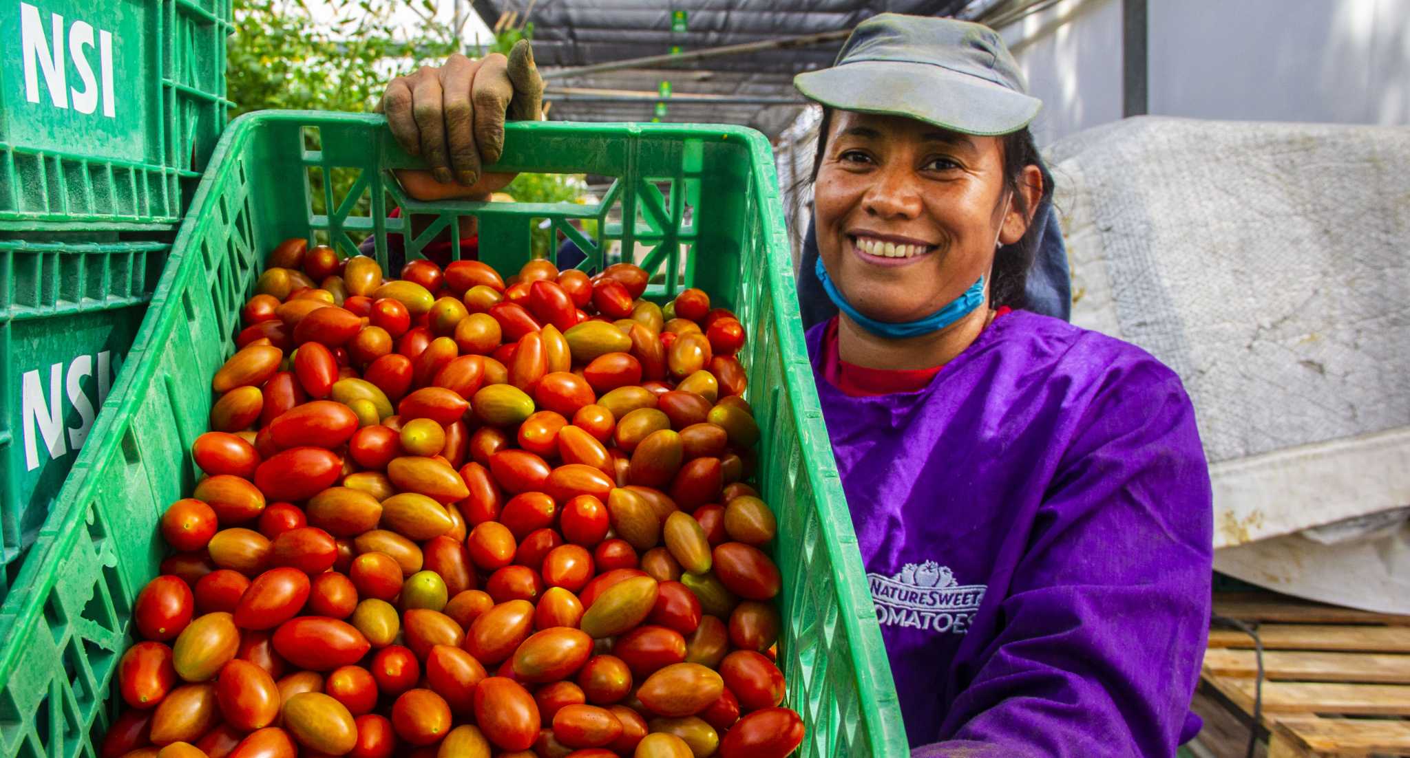 After months-long closures, new Loop 1604 flyover ramp opens