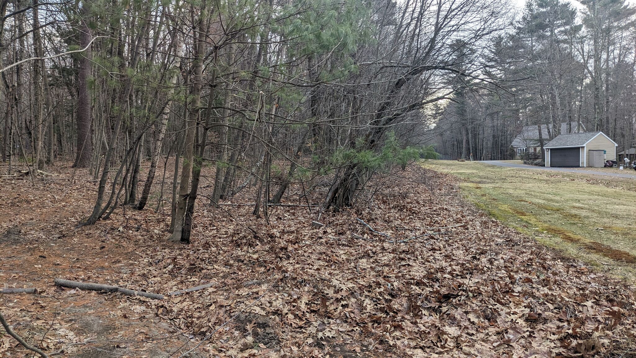 Torrington solar farm proposal sparks debate over forest, wildlife