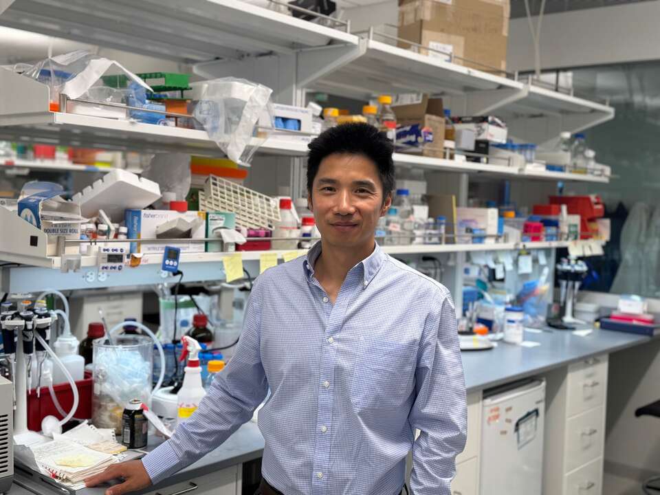 UCSF, Stanford launch $200M cancer hub for breakthrough research