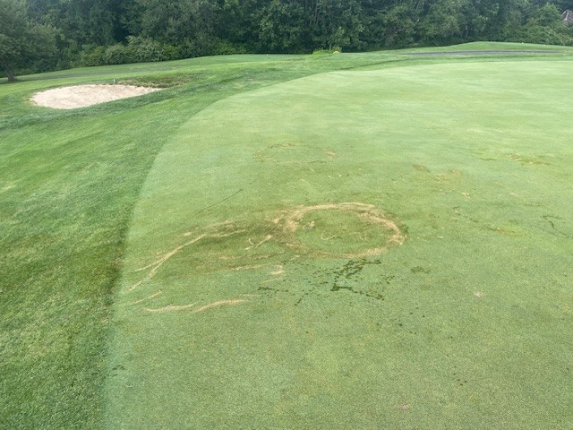 Simsbury golf course damaged by people 'summer sledding:' Officials