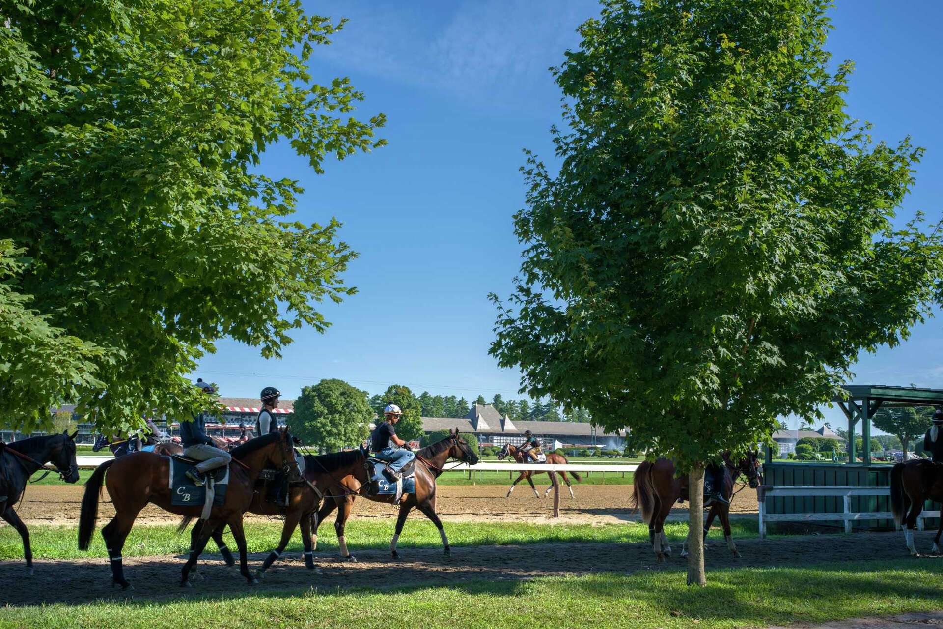 Strangles quarantine lifted of Saratoga Race Course's Barn 28