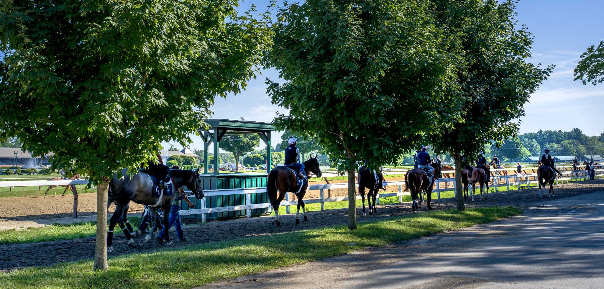 Horse euthanized after training injury at Saratoga track