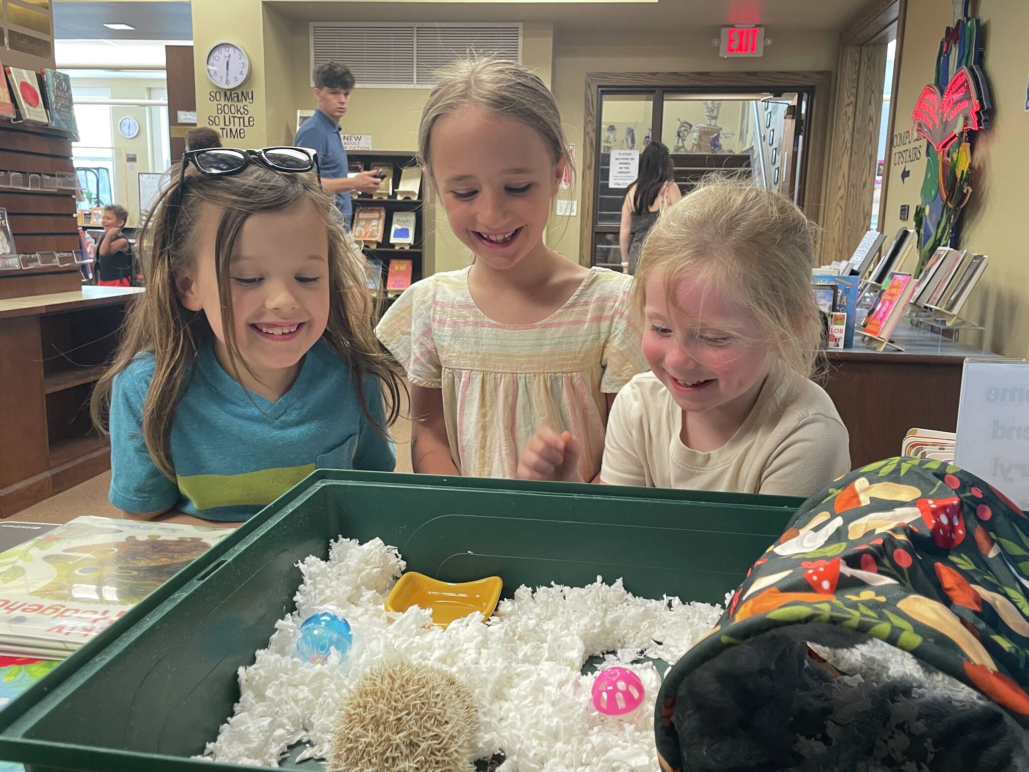 Big Rapids Community Library adopts new hedgehog pet